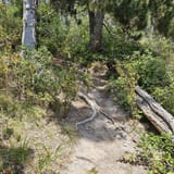 Huckleberry Hill Loop Trail, California - 759 Reviews, Map | AllTrails