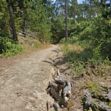 Huckleberry Hill Loop Trail, California - 759 Reviews, Map | AllTrails