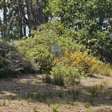 Huckleberry Hill Loop Trail, California - 780 Reviews, Map | AllTrails