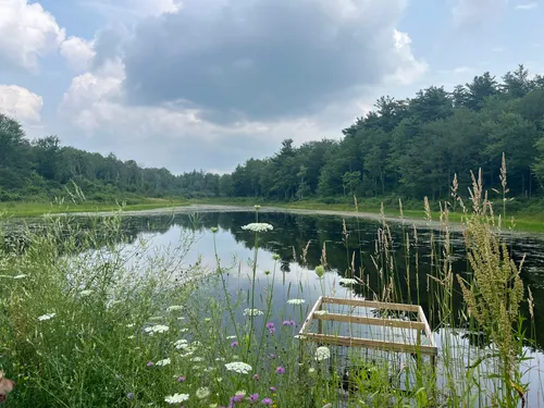 Best Hikes and Trails in Partridge Run Wildlife Management Area | AllTrails