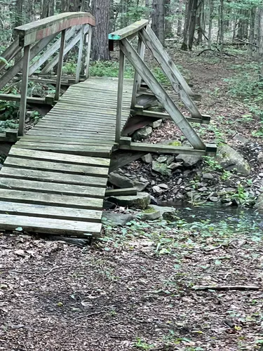 Best Hikes and Trails in Partridge Run Wildlife Management Area | AllTrails