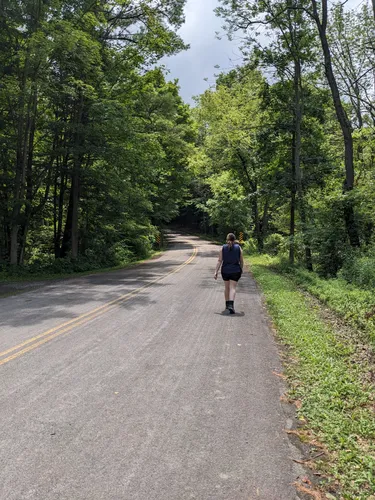 Best Hikes and Trails in Genesee County Park and Forest | AllTrails