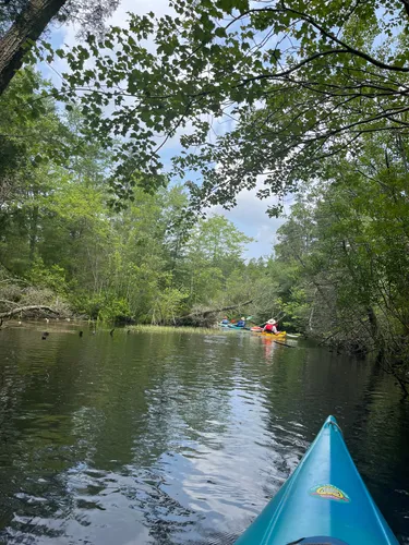 Best Hikes and Trails in Penn State Forest | AllTrails