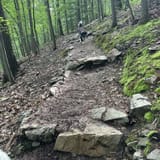 Pole Steeple Trail, Pennsylvania - 927 Reviews, Map | AllTrails