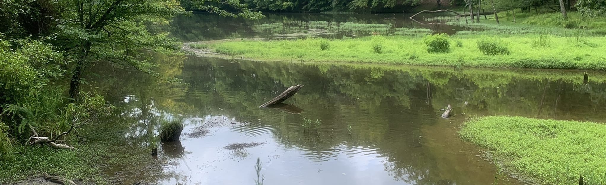 AllTrails | Bull Run Occoquan Trail: Access Road to Wolf Run: 1070 ...