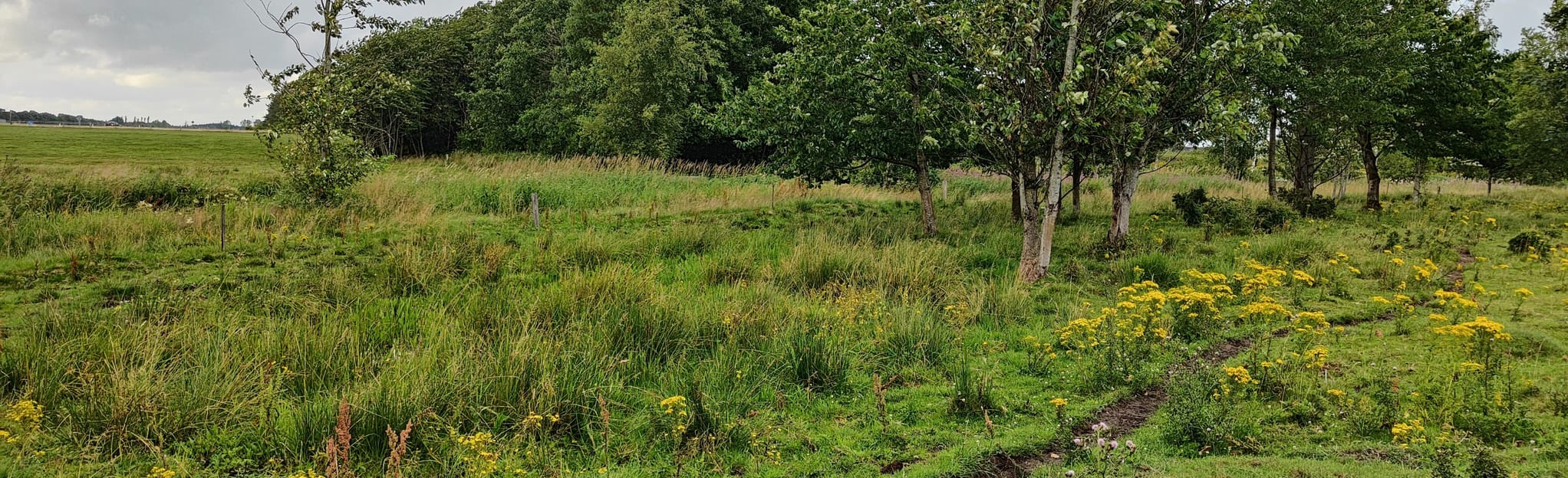 Billund Heart Trail: 6 Reviews, Map - Region of Southern Denmark ...