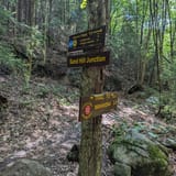 Cranberry Lake 50 Loop, New York - 268 Reviews, Map | AllTrails