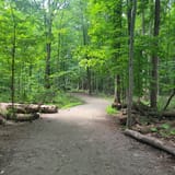 Carpenter Lake Nature Preserve Loop, Michigan - 463 Reviews, Map ...