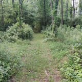 Pequest Wildlife Management Area Trails, New Jersey - 64 Reviews, Map ...