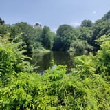 Pequest Wildlife Management Area Trails, New Jersey - 64 Reviews, Map ...