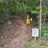 The Pinnacle via Ridgeline Trail and Boulders Access, North Carolina ...