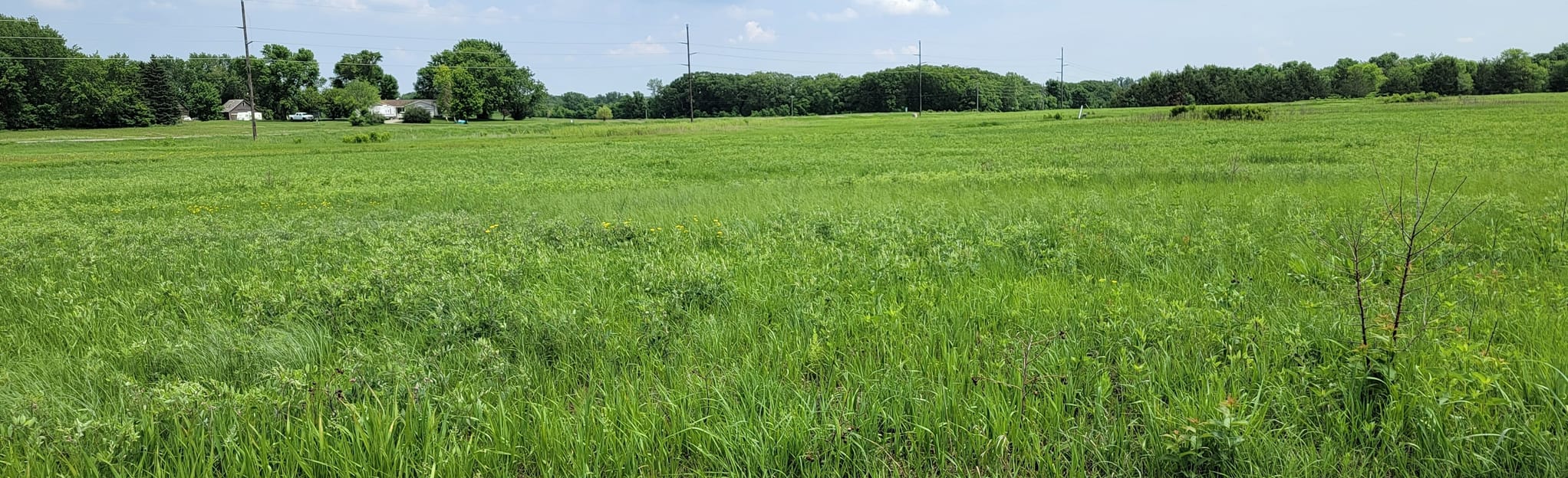 Birch Coulee Battlefield, Minnesota - 8 Reviews, Map | AllTrails