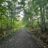 Waterfall Overlook via Riverside and Upland Trail Loop, New York - 810 ...