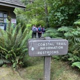 Cape Alava Trail, Washington - 509 Reviews, Map | AllTrails