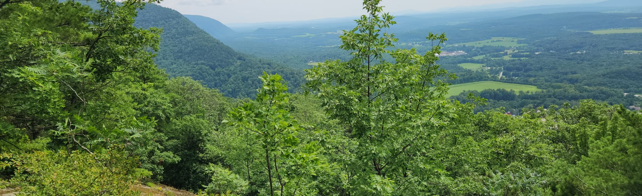 Bristol Ledges, Vermont - 301 Reviews, Map | AllTrails