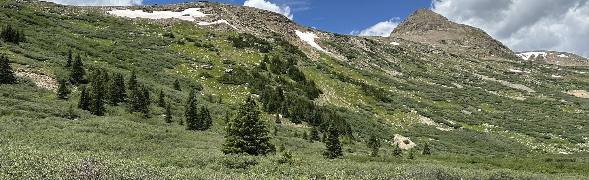 Mosquito Pass Road: 38 Reviews, Map - Colorado | AllTrails