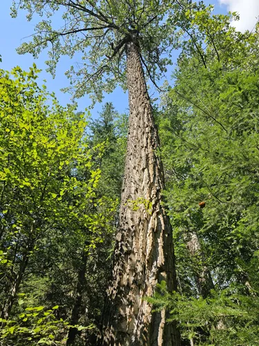 Best Hikes and Trails in Carson-Pegasus Provincial Park | AllTrails