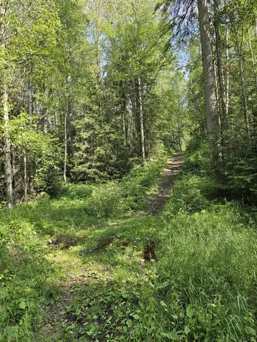Best Hikes and Trails in Carson-Pegasus Provincial Park | AllTrails