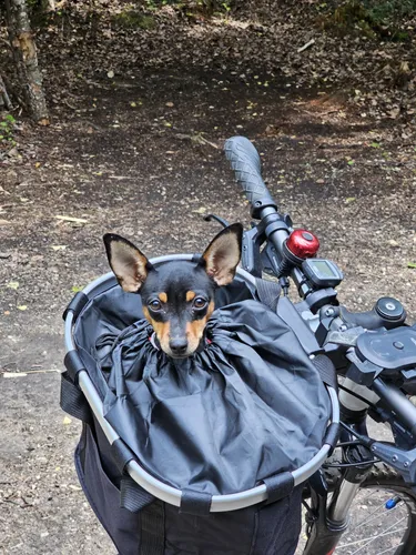 Best Hikes and Trails in Carson-Pegasus Provincial Park | AllTrails