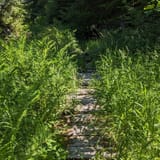 Irely Lake Trail, Washington - 125 Reviews, Map | AllTrails