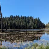 Irely Lake Trail, Washington - 125 Reviews, Map | AllTrails