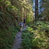 Irely Lake Trail, Washington - 125 Reviews, Map | AllTrails