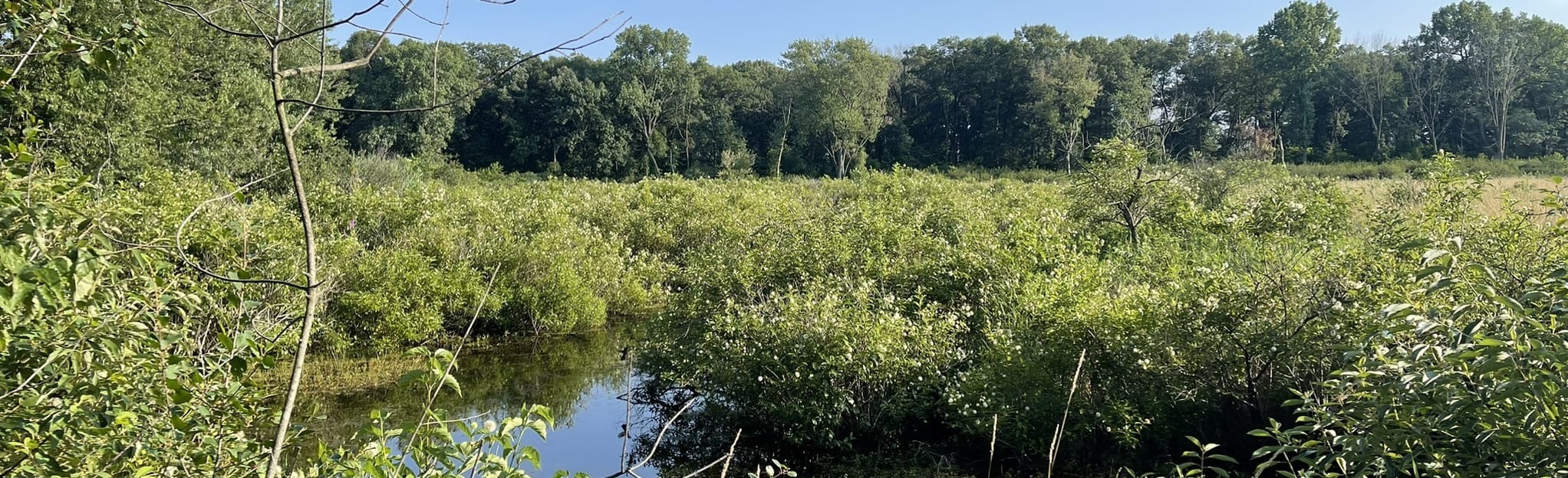 Oak Ridge Prairie Loop: 131 Reviews, Map - Indiana | AllTrails