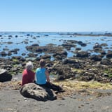 Cape Alava Trail, Washington - 501 Reviews, Map | AllTrails