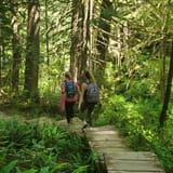 Cape Alava Trail, Washington - 501 Reviews, Map | AllTrails