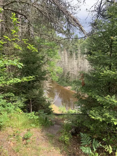 Escanaba River State Forest: de 10 beste wandelingen en routes | AllTrails
