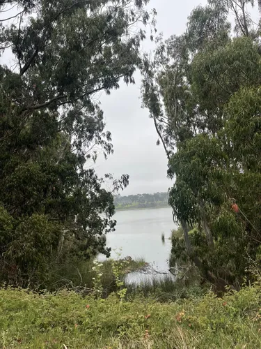Best Hikes and Trails in Lake Merced Park | AllTrails