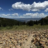 Hope Pass via Willis Gulch Trail, Colorado - 378 Reviews, Map | AllTrails