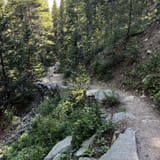 Hope Pass via Willis Gulch Trail, Colorado - 378 Reviews, Map | AllTrails