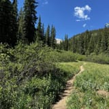 Hope Pass via Willis Gulch Trail, Colorado - 378 Reviews, Map | AllTrails
