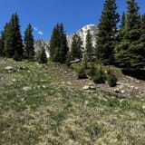 Hope Pass via Willis Gulch Trail, Colorado - 378 Reviews, Map | AllTrails