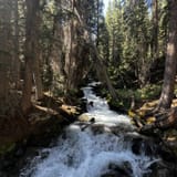 Hope Pass via Willis Gulch Trail, Colorado - 378 Reviews, Map | AllTrails