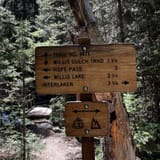 Hope Pass via Willis Gulch Trail, Colorado - 406 Reviews, Map | AllTrails
