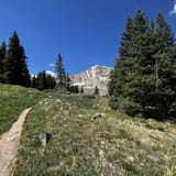 Hope Pass via Willis Gulch Trail, Colorado - 393 Reviews, Map | AllTrails