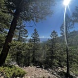 Hope Pass via Willis Gulch Trail, Colorado - 393 Reviews, Map | AllTrails