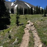 Hope Pass via Willis Gulch Trail, Colorado - 393 Reviews, Map | AllTrails
