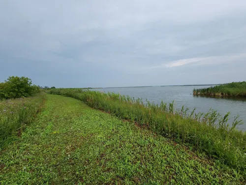 Best Hikes and Trails in Rorketon | AllTrails