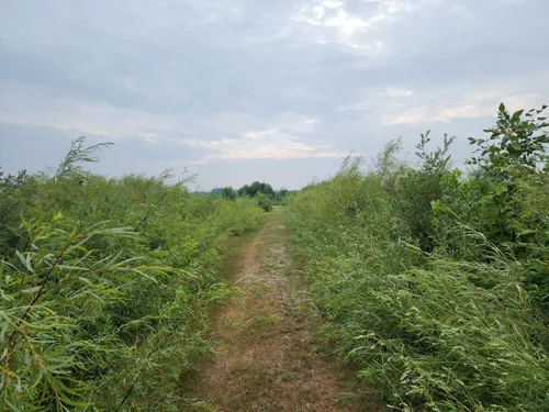 Best Hikes and Trails in Manipogo Provincial Park | AllTrails