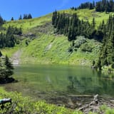 Johnson Ridge Trail, Washington - 261 Reviews, Map | AllTrails