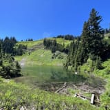 Johnson Ridge Trail, Washington - 261 Reviews, Map | AllTrails