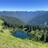 Johnson Ridge Trail, Washington - 261 Reviews, Map | AllTrails