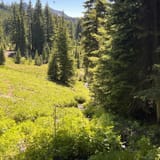 Obsidian Trail, Oregon - 660 Reviews, Map | AllTrails