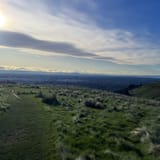 Rapaki Track, Canterbury, New Zealand - 517 Reviews, Map | AllTrails