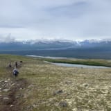 Kesugi Ridge (Curry Ridge) Trail, Alaska - 223 Reviews, Map | AllTrails