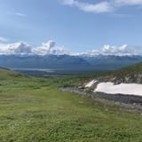 Kesugi Ridge (Curry Ridge) Trail, Alaska - 223 Reviews, Map | AllTrails