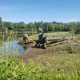 Friend's Landing Trail, Washington - 153 Reviews, Map | AllTrails